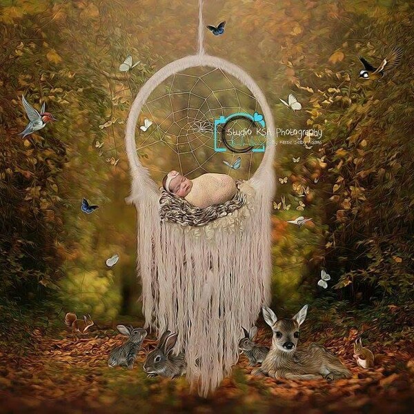 KCC Fall Digital Background/backdrop - Instant Download - Etsy