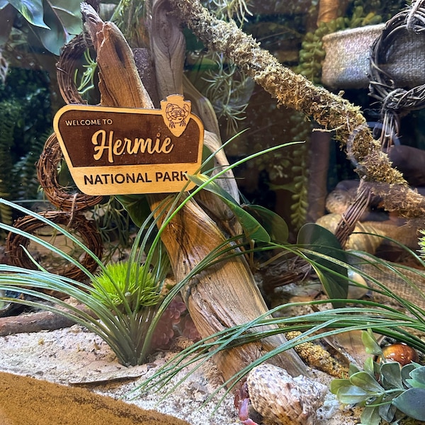 Wooden CREATURE PINS | Any Species | Custom Reptiles Amphibians ...