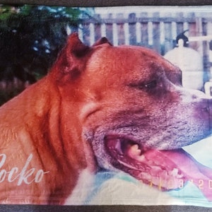 Personalized Character Face Plate/custom Plate for Boys/ Boys - Etsy