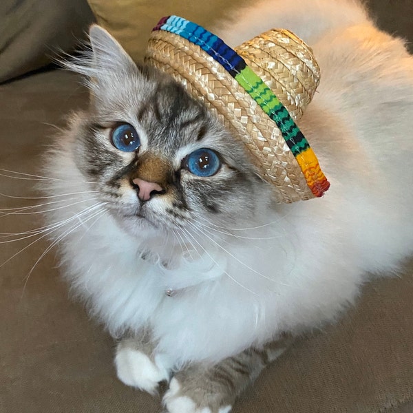 Cat Sombrero Mexican Cat Hat Dog Hat FREE SHIPPING - Etsy