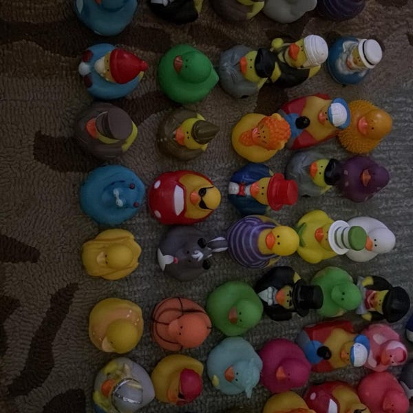 Graduate Diploma Rubber Duck Cruise Ducks Kids Bath Toy Stress Relief ...