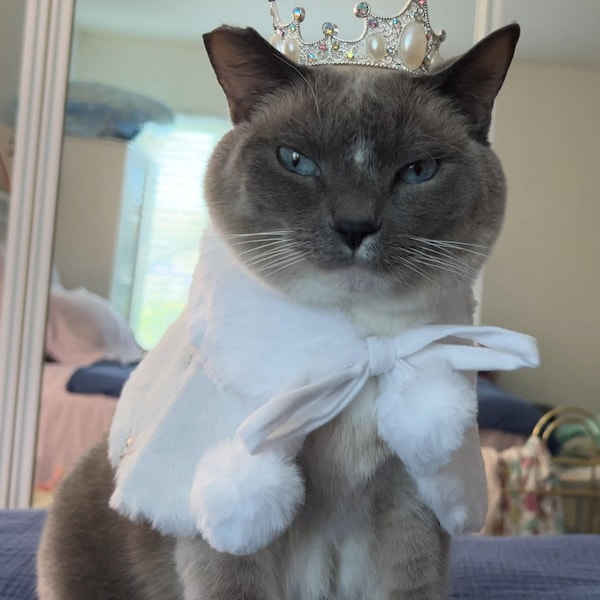 Gold Snow Queen Pet Cape: Christmas Cat/dog Costume - Etsy
