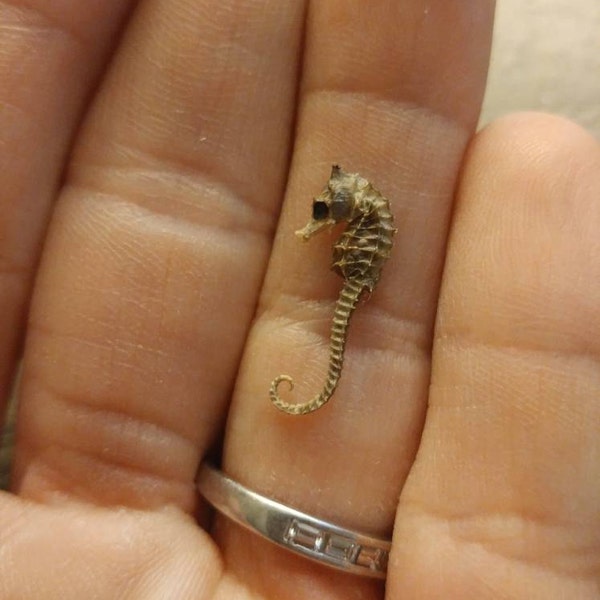 George Washington Red 2c US Postage Stamp - Etsy