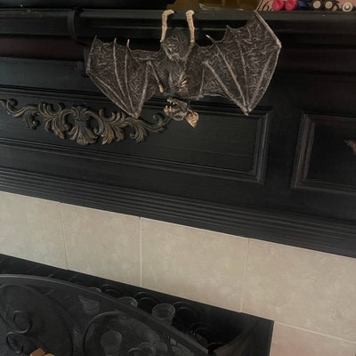 Black Cyclops Cat/one Eyed Cat - Etsy