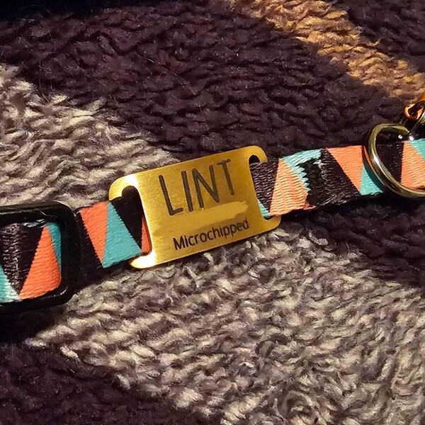 Initial Collar Charm - Letter Tag, Pet Collar Charm, Personalized Pet ...