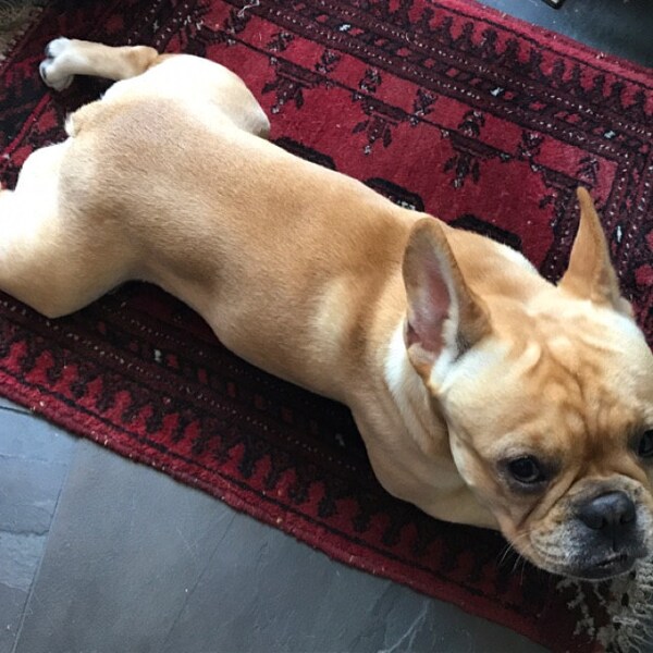 Live Edge Solid Walnut 10 Foot Dining Table Inspired by George Nakashima Minguren II - Etsy