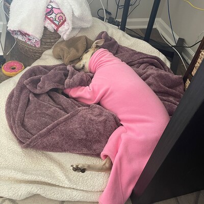 PLUSH Fleece Solid Colored PLUSH Fleece Snoodie Pajamas Many Colors ...