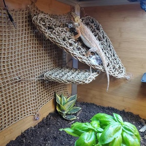 Reptile Climbable Wall Climbing Wall for Reptiles Reptile Climbable ...