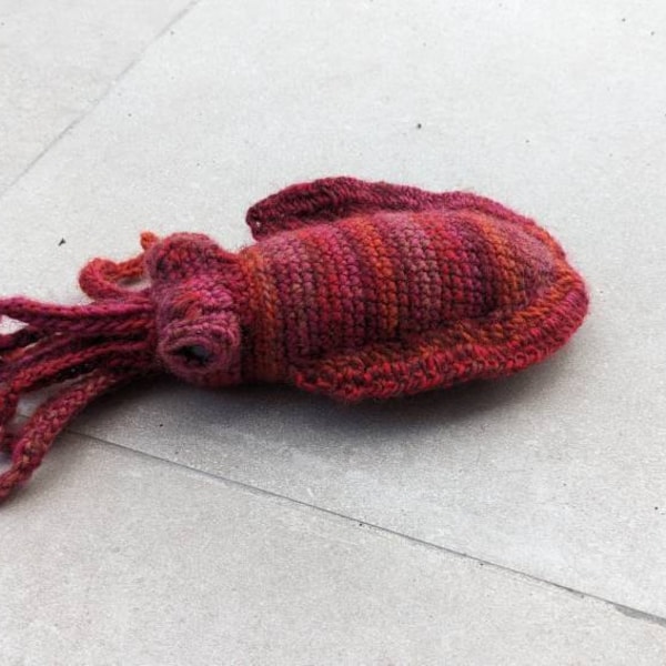 PATTERN ONLY Rainbow Cuttlefish Amigurumi Crochet - Etsy
