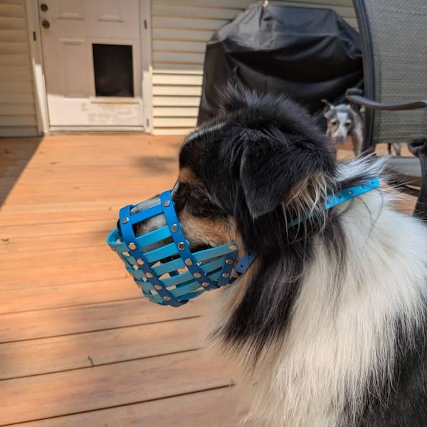 Custom Made to Measure Colourful Biothane Dog Muzzle - Ultra Adjustable ...