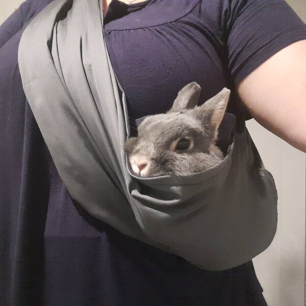 Bunny Sling Carrier | Carry Your House Rabbit | Soft Crossbody Pouch ...