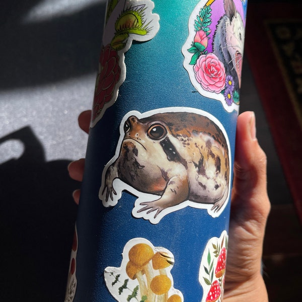 Handmade Polymer Clay Angry Screaming Black Desert Rain Frogs Figurine ...