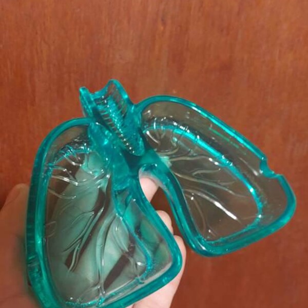 Red Lungs Ashtray | Funny Ashtrays | Body Parts Home Decor | Rolling ...