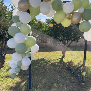 Reptile Party Balloon Arch Snake Birthday Banner Snake - Etsy