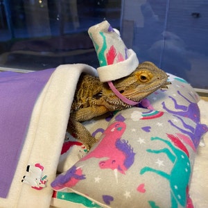 Bearded Dragon Bed 6pcs MADE IN AMERICA - Etsy