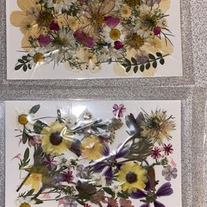 50 Pieces Food-safe Pressed Flowers Cake Decoration Flowers - Etsy