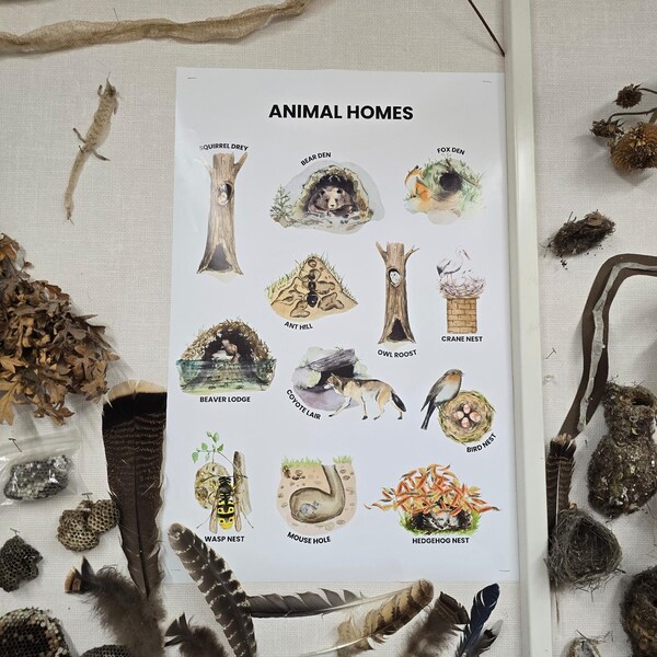 Community Helpers & Occupations | Three-part Montessori Flashcards | 64 ...