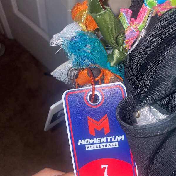 Custom Sports Team Bag Tag, Bag Tags for Football, Hockey, Baseball ...