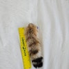 Genuine Bobcat Tail Keychain CHOOSE SIZE - Etsy