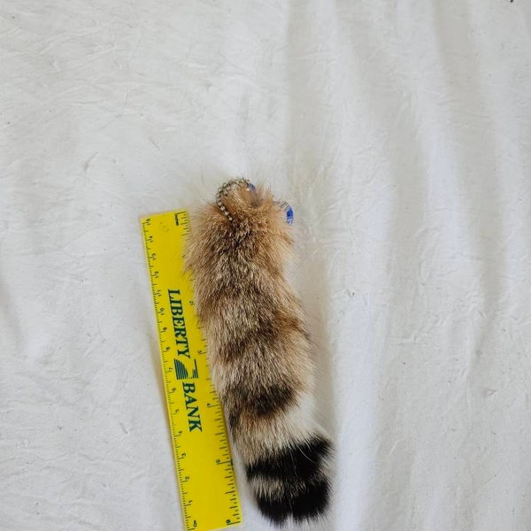 Genuine Bobcat Tail Keychain (CHOOSE SIZE) - Etsy