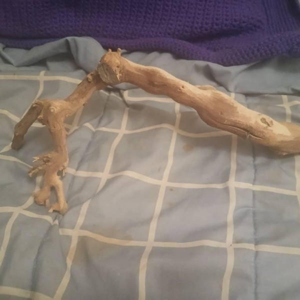 Natural Grapewood, Grape Wood Vine Branch - Etsy