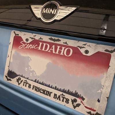 No Bull Front License Plate Western Bull Horns Stars Car Truck Vanity ...