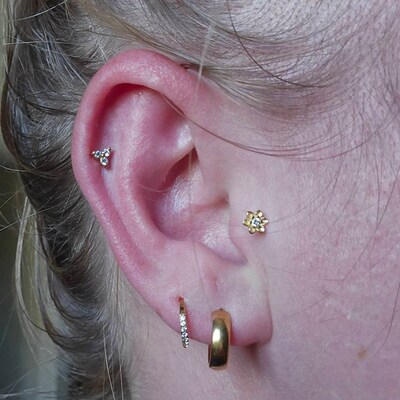 16G/18G Nature Flat Back Earring Stack Bee Cartilage Earrings Dragonfly ...