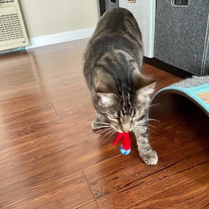 Super Bouncy Wiggly Ball Cat Toy With Wiggly Tail, Fun Cat Toy Ball ...