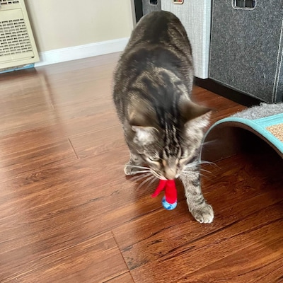 Super Bouncy Wiggly Ball Cat Toy With Wiggly Tail, Fun Cat Toy Ball ...