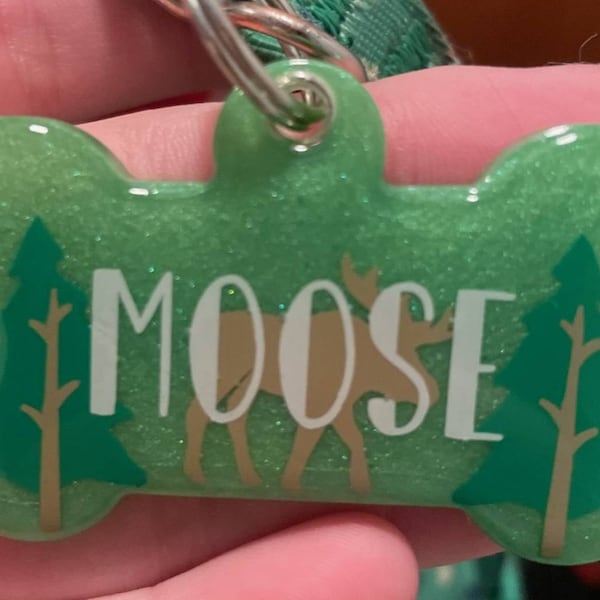 Design Your OWN Custom Pet Tag, Personalized, Custom Dog Tag, Resin Dog ...