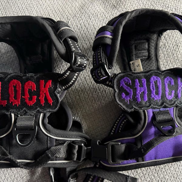 US Travel Map | Fill in Map | Color in Map | US Color Map - Etsy