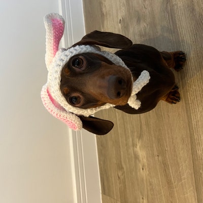 Granny Square Black and White Dog Hood. Dog Balaclava. Dog Clothes ...