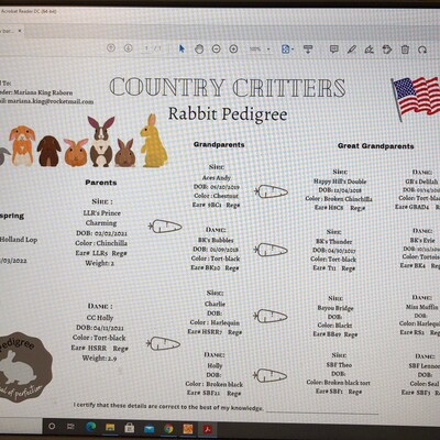Personalized Custom Rabbit Pedigree Template, Rabbit Pedigree, Breeding ...