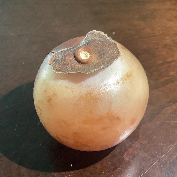 Bruce Canistel Seedling - Egg Fruit - Pouteria Campechiana - Zapote ...