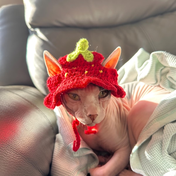 Cat Birthday Outfit | Crochet | Knitted | Letterbox Gift | Handmade ...