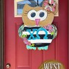 Owl Door Hanger - Owl Wreath - Spring Door Decor - Owl Sign ...