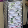 BOTANICAL Teacher Rolling Cart Labels Trolley Labels Editable Modern ...