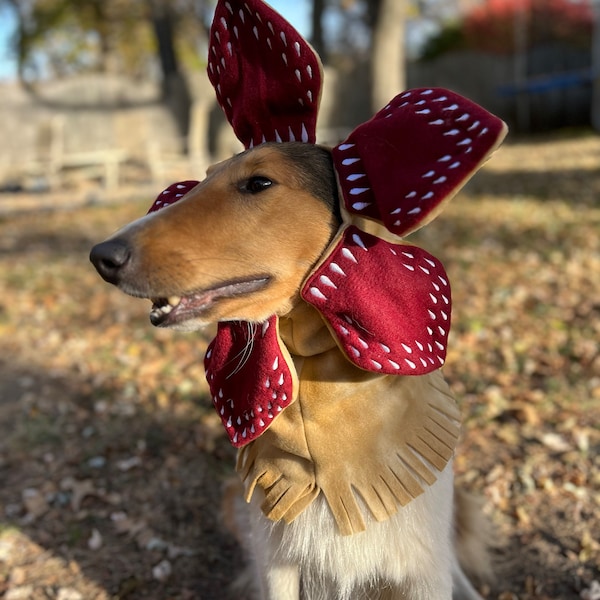 Demodog Demogorgon Stranger Things Inspired Embroidered Dog Costume ...
