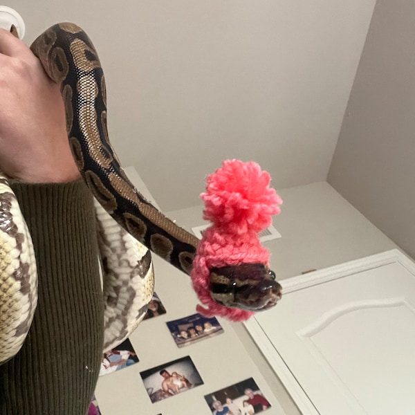 Snake Hat Pattern, Ball Python Hat, Crochet Snake Hat Pattern, Beginner ...