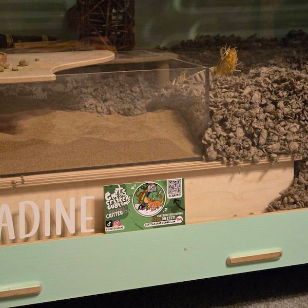 Bearded Dragon Candy Corn Costume Sweater, Halloween Lizard Sweater ...