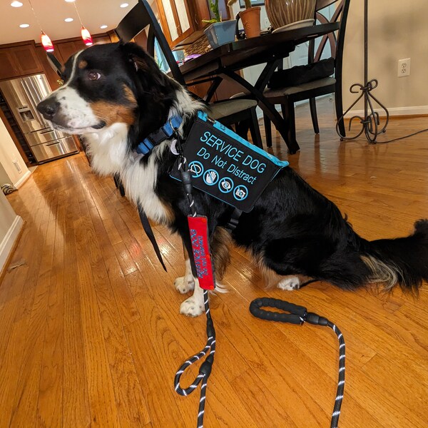 Leash Sleeve or Collar Wrap, Your Text Here, Customizable, Custom ...