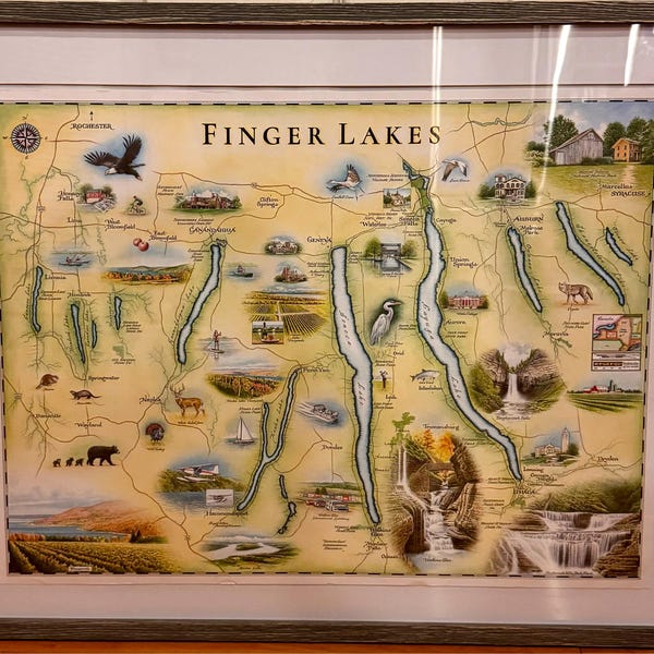 Finger Lakes Hand-drawn Map Poster | Authentic 24x18-vintage-style ...