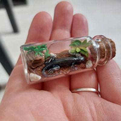 Different Leopard Gecko Morphs in Glass-bottle / Unique Miniature ...