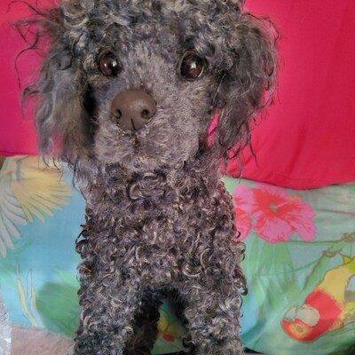 Puppy Jeri made to Order Realistic Toy, Poodle Dog , Toy Poodle, Fur ...