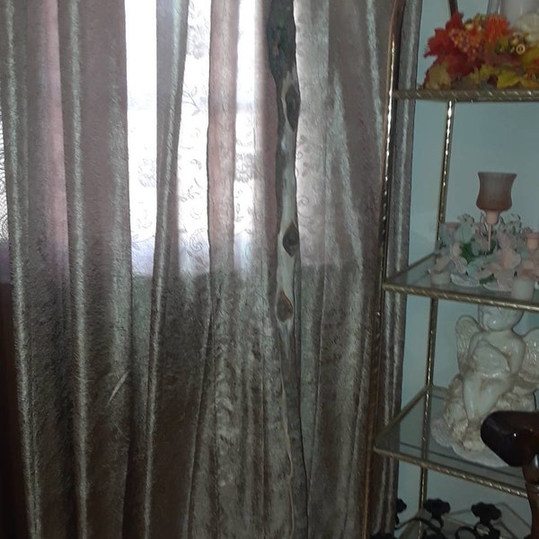 57" Diamond Willow (2~YOU Carve trekking Sticks) Walking Stick ...