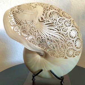 Carved Pearl Nautilus Shell Dragon Carving,real and Natural Nautilus ...