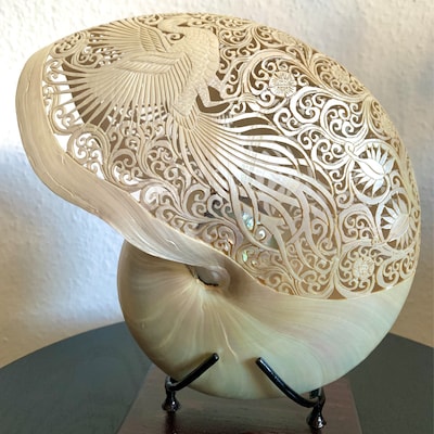 Carved Pearl Nautilus Shell Dragon Carving,real and Natural Nautilus ...