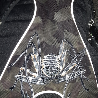 Giant Tanzanian Tailless Whip Scorpion Iron on Patch Amblypygi Damon ...