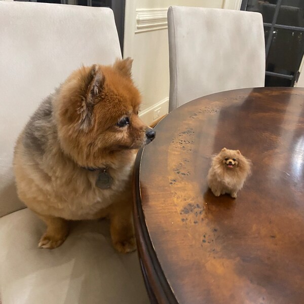 Example. Corgi Needle Felted Figurine Corgi Pembroke Sculpture Ooak ...