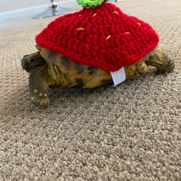 Crochet Strawberry Costume for Turtles/ Tortoises - Etsy